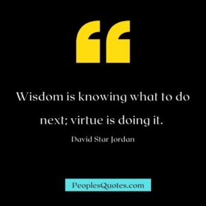 175 Powerful Quotes for Those Who Are Seeking Wisdom
