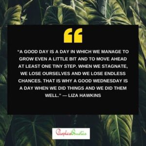 50+ Wednesday Work Quotes to Keep You Motivated